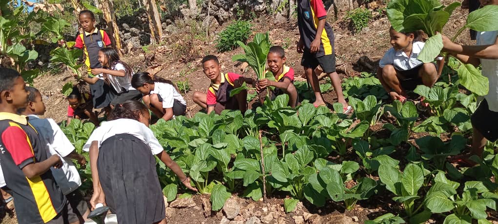 School Gardens - Spend It Well